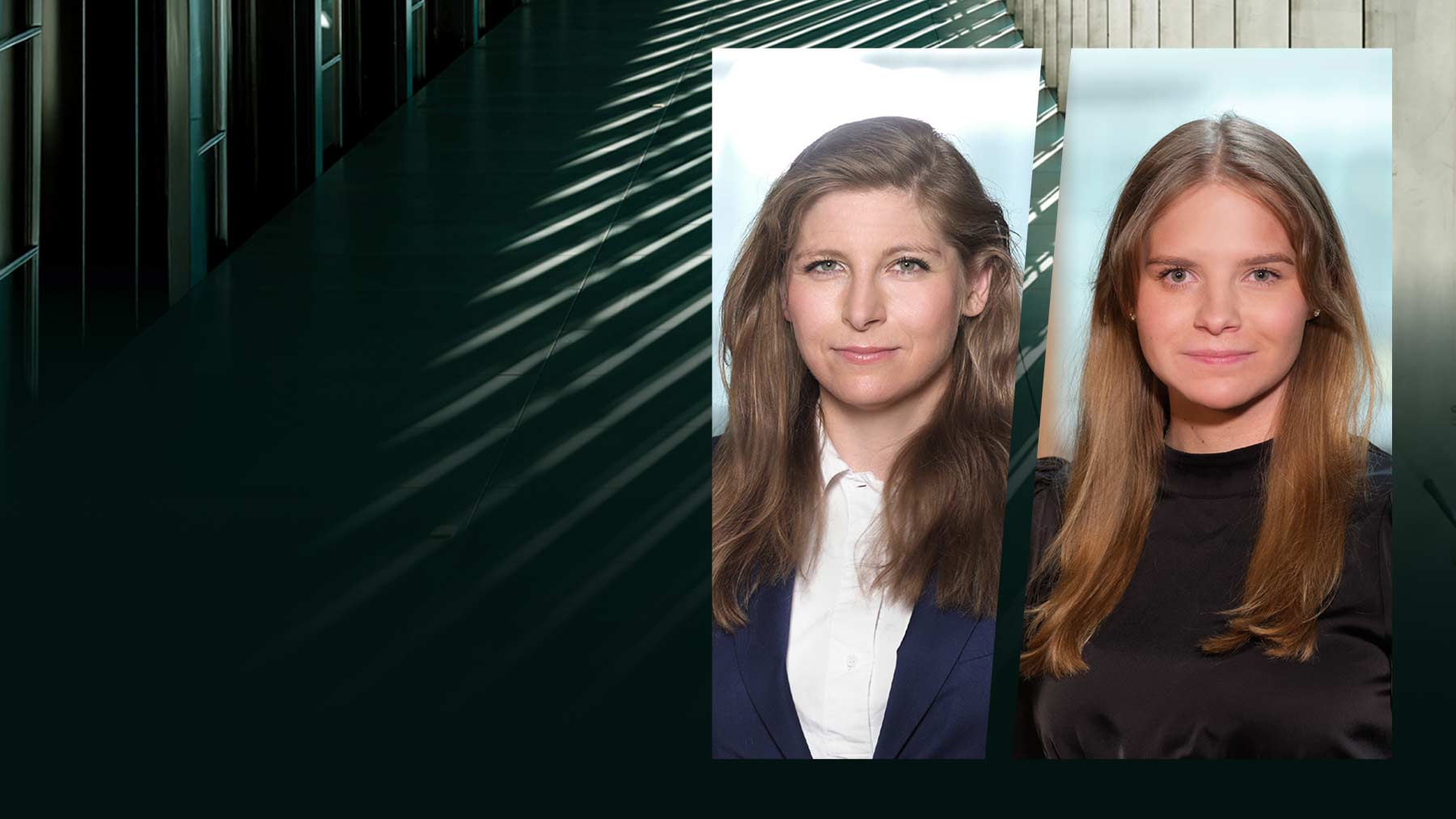 Insyn i tillsynsmyndigheternas ingripanden