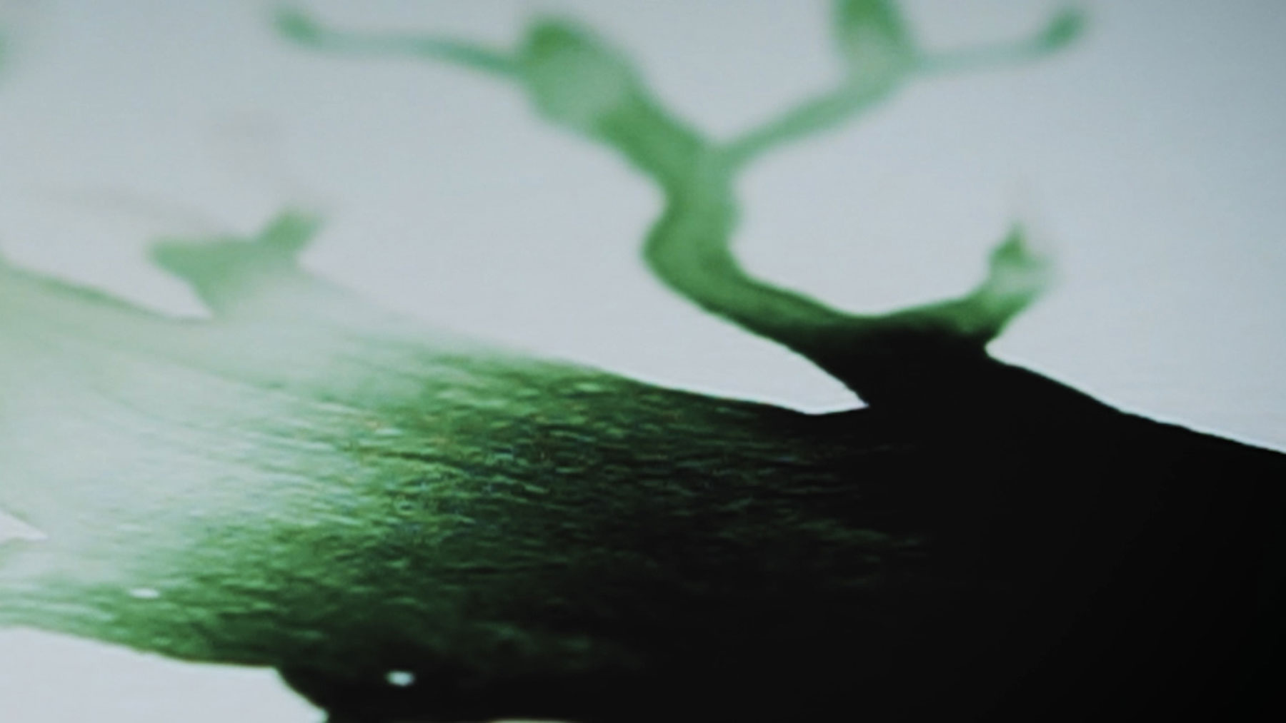 Vinge Tomorrow | Vinge