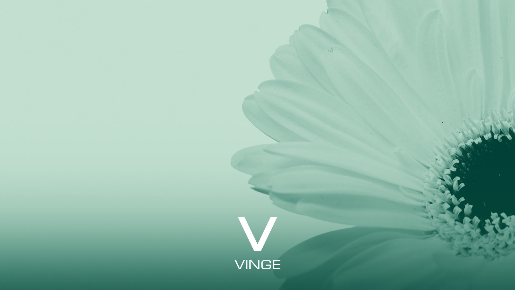 Vinge biträder Fidelio Capital och Heart BidCo AB i samband med ...